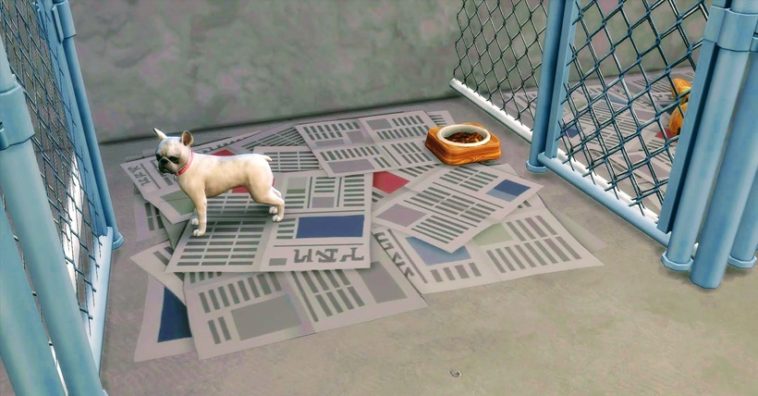 FUNCTIONAL ANIMAL CONTROL OFFICER CAREER | THE SIMS 4 – WICKED PIXXEL